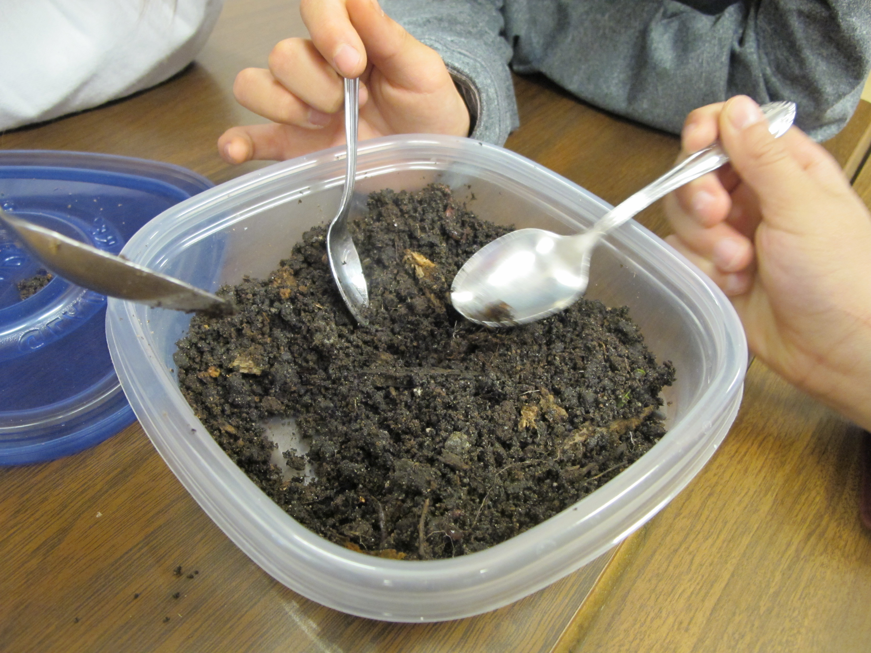 Soil habitat study | ingridscience.ca