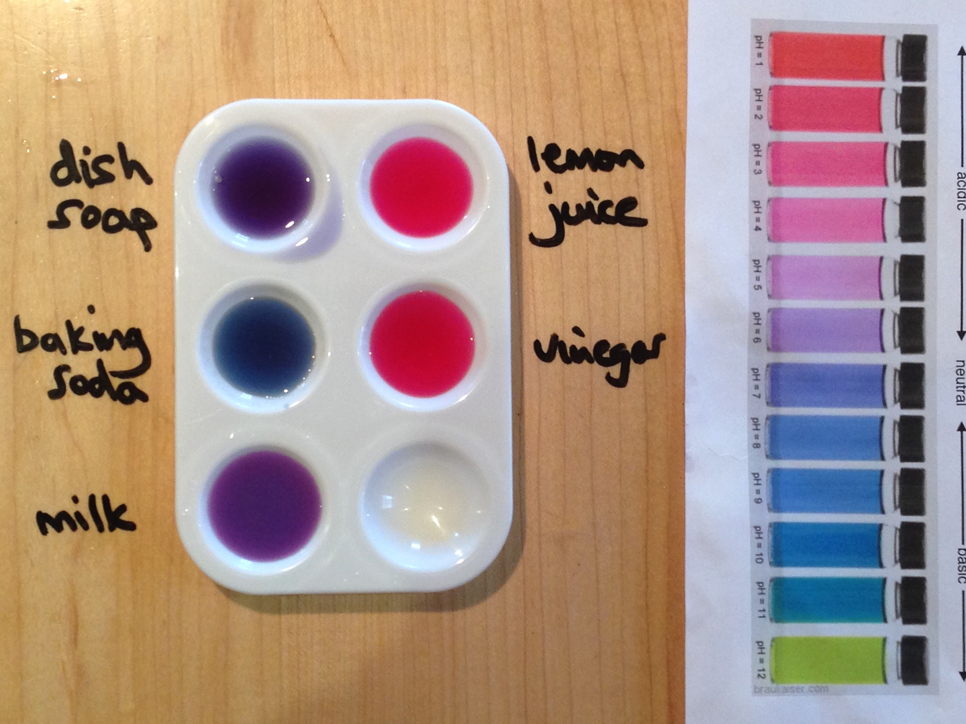 Red cabbage dye (and pH indicator) | ingridscience.ca