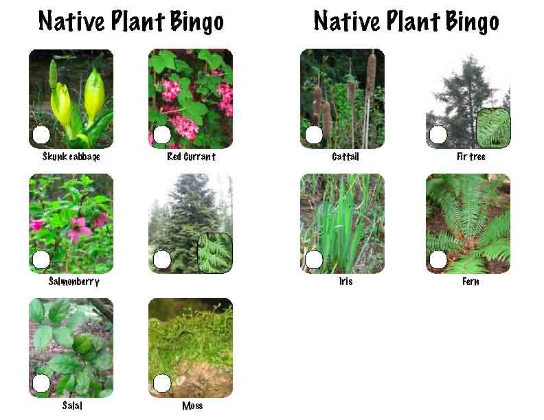 Native Plant Bingo 1 | ingridscience.ca