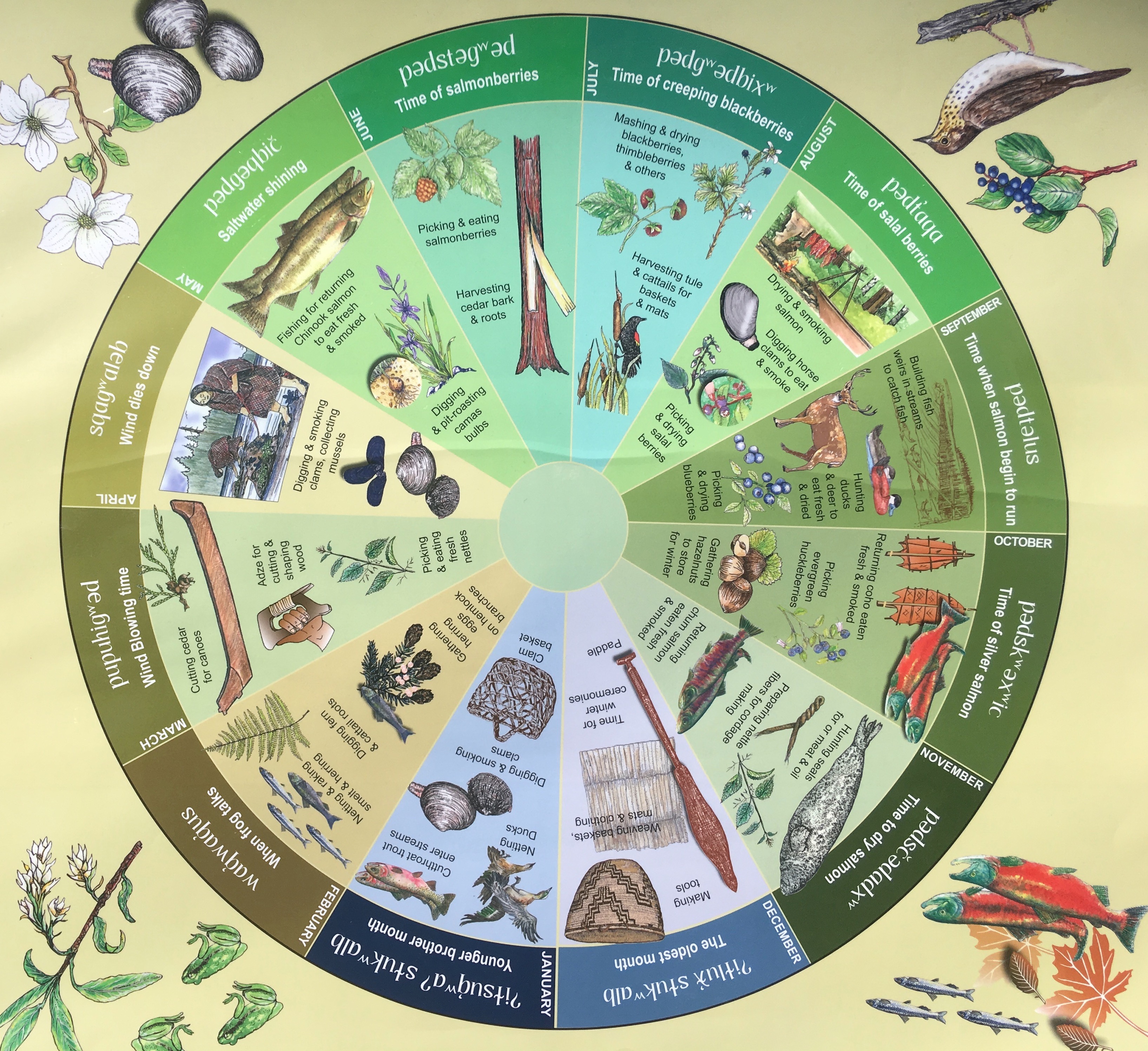 Seasonal Round of the Coast Salish | ingridscience.ca