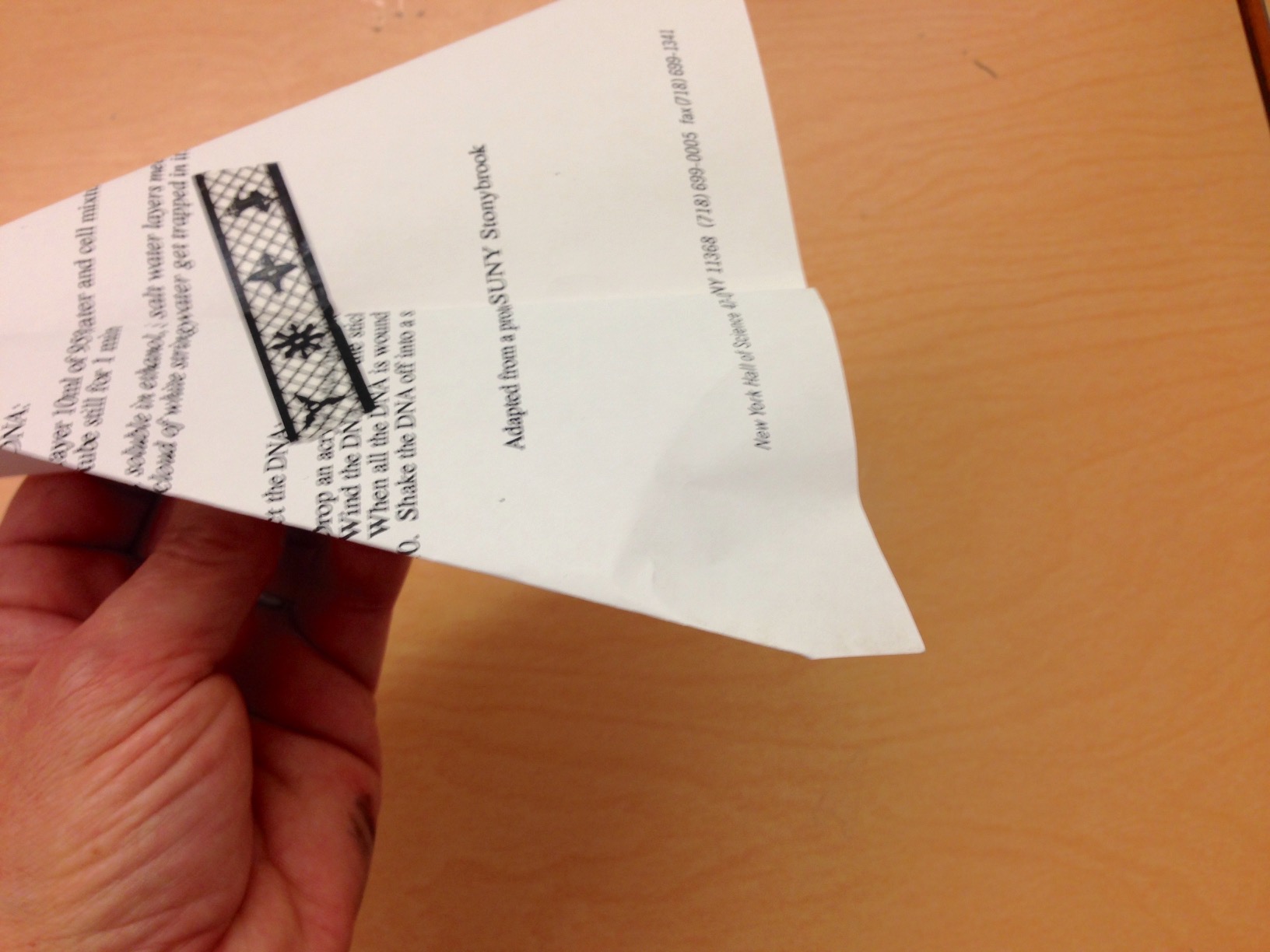 Paper airplanes | ingridscience.ca