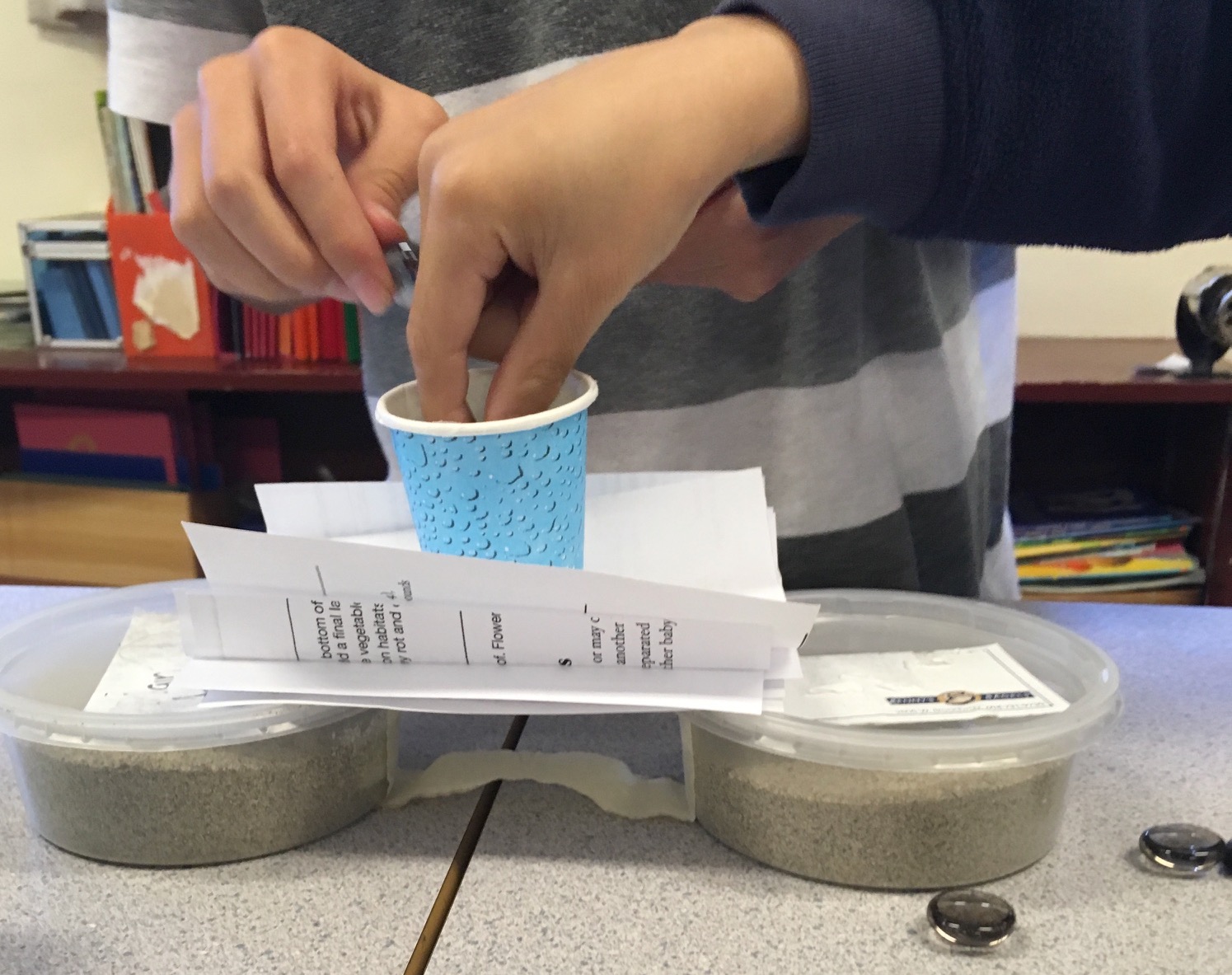 Bridge shapes and forces | ingridscience.ca