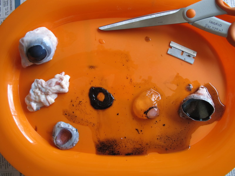 Eye Dissection Ingridscience ca