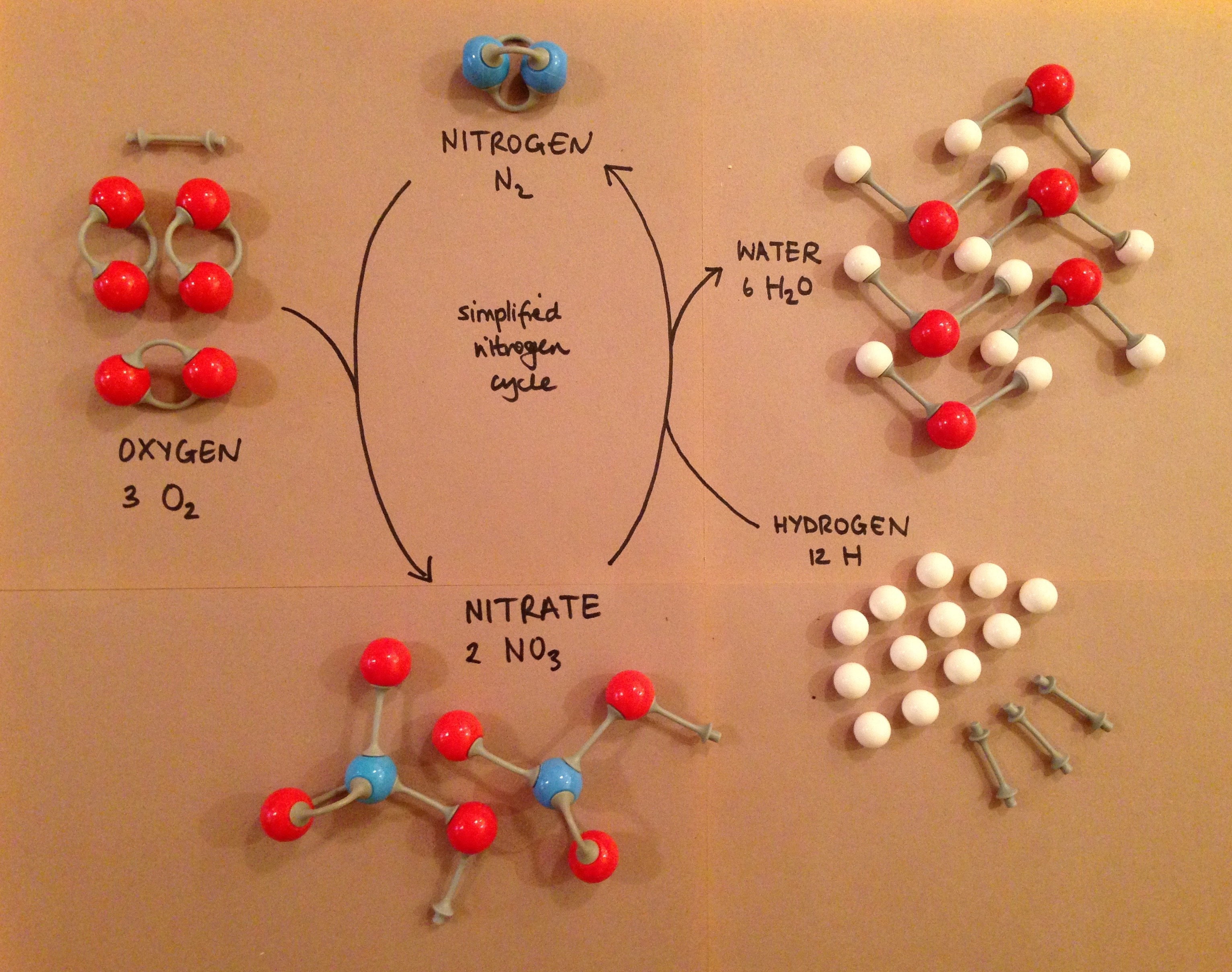 Nitrogen Cycle With Molecular Modelling Ingridscience ca Nitrogen Cycle With Molecular Modelling Ingridscience ca
