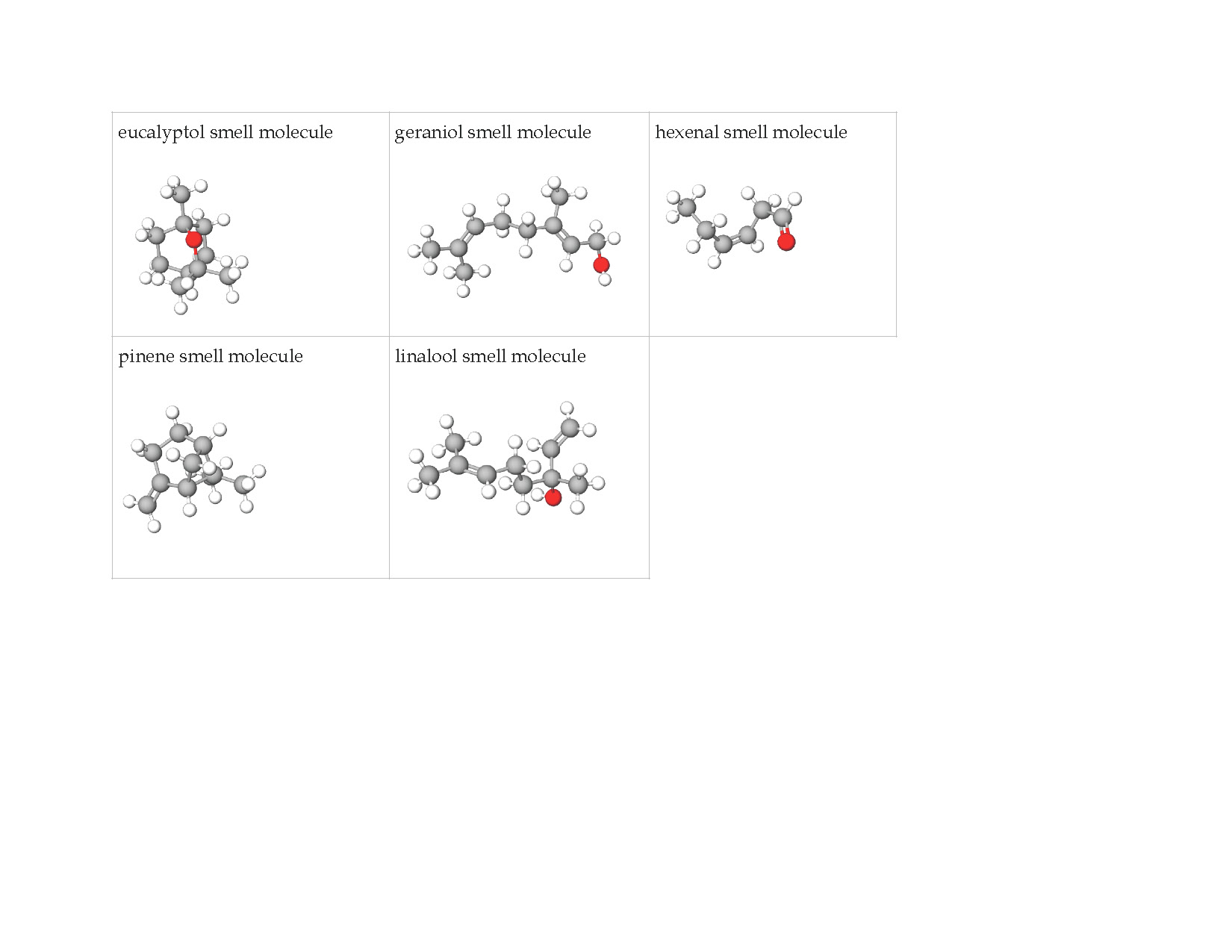 Plant smell matches and their molecules | ingridscience.ca