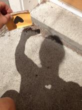 Shadows and mirrors | ingridscience.ca