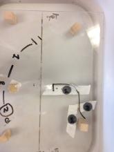 Gravity Assist Model | ingridscience.ca